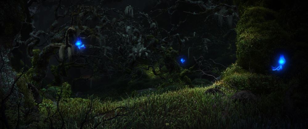 Mystère autour des feux follets